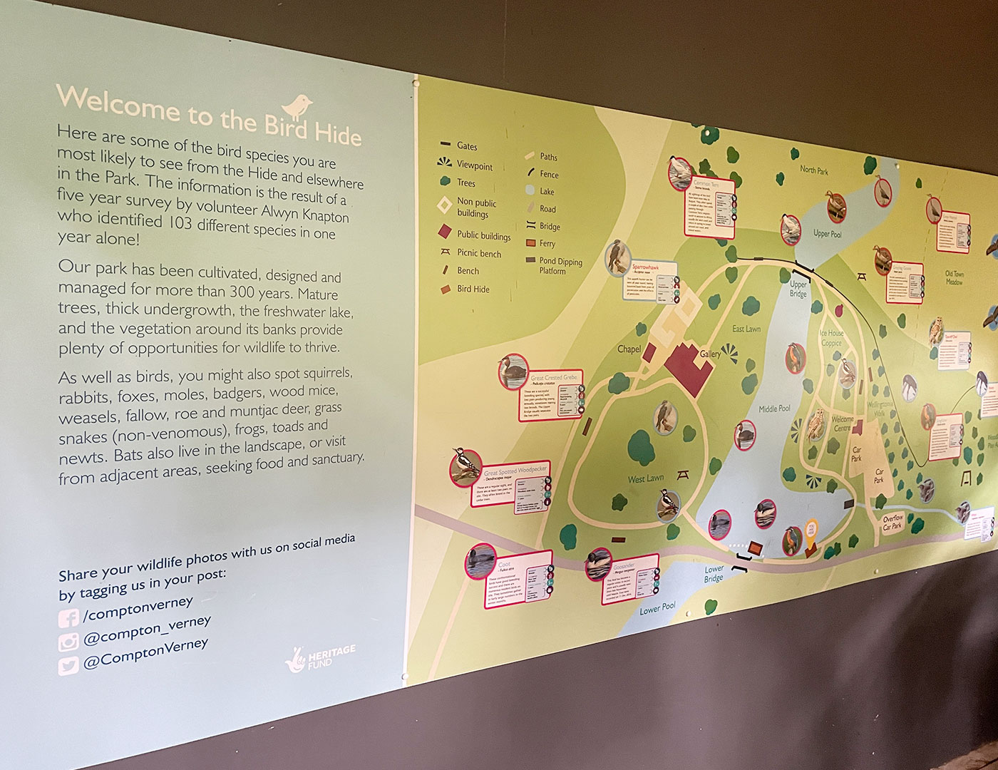 Map making - Design Penguin Creative
